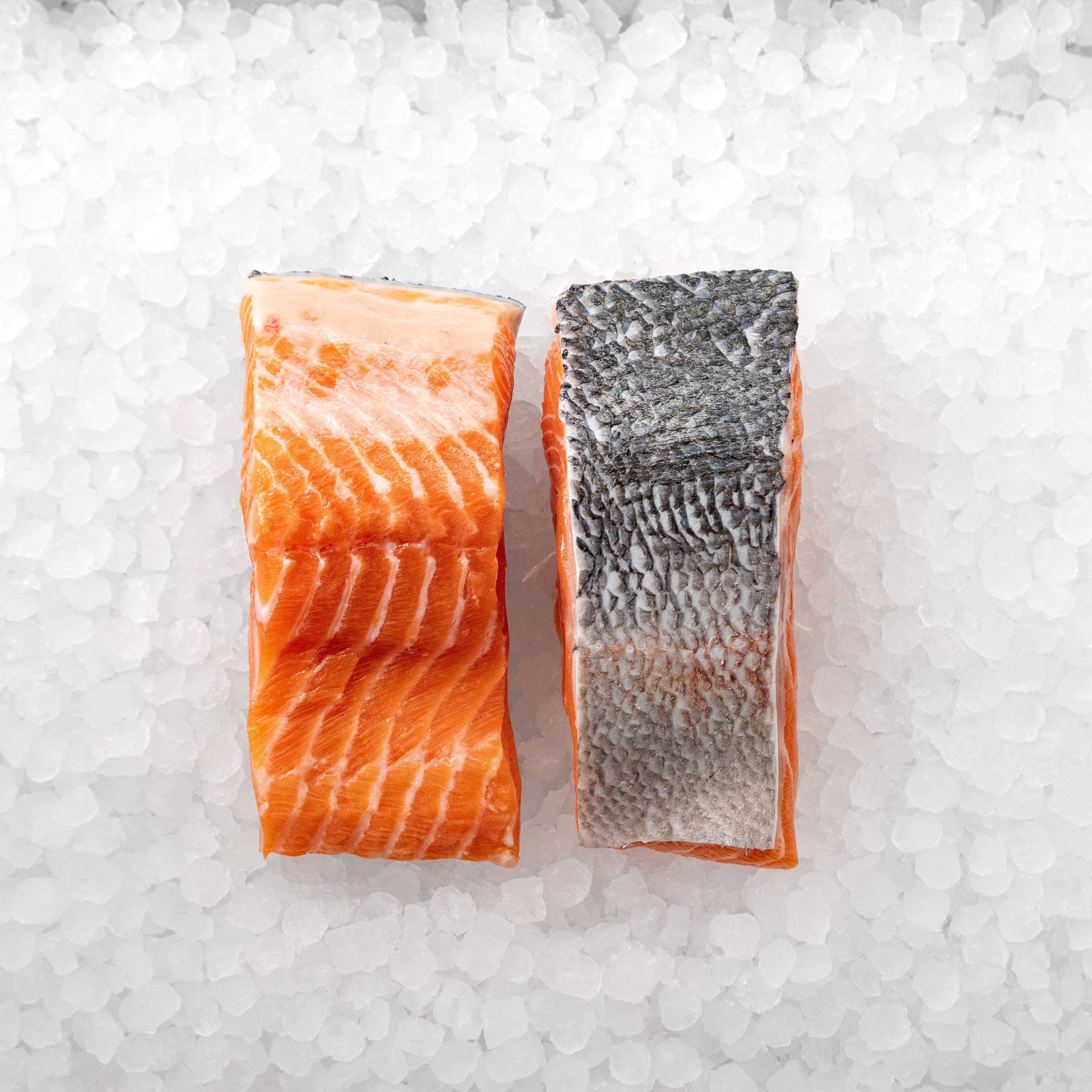 Chalk Stream Trout Fillet – The Sea, The Sea Online