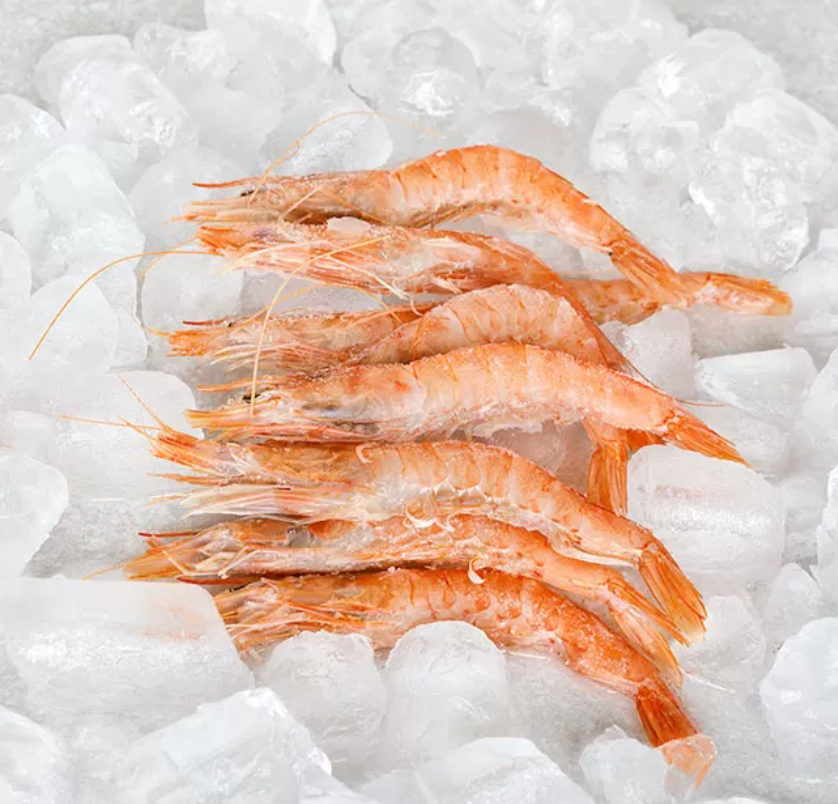 Sicilian White Prawns – The Sea, The Sea Online