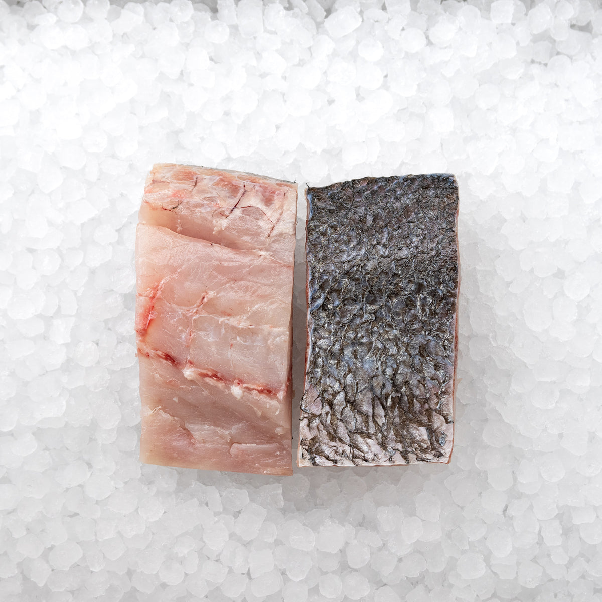 Stonebass fillet – The Sea, The Sea Online