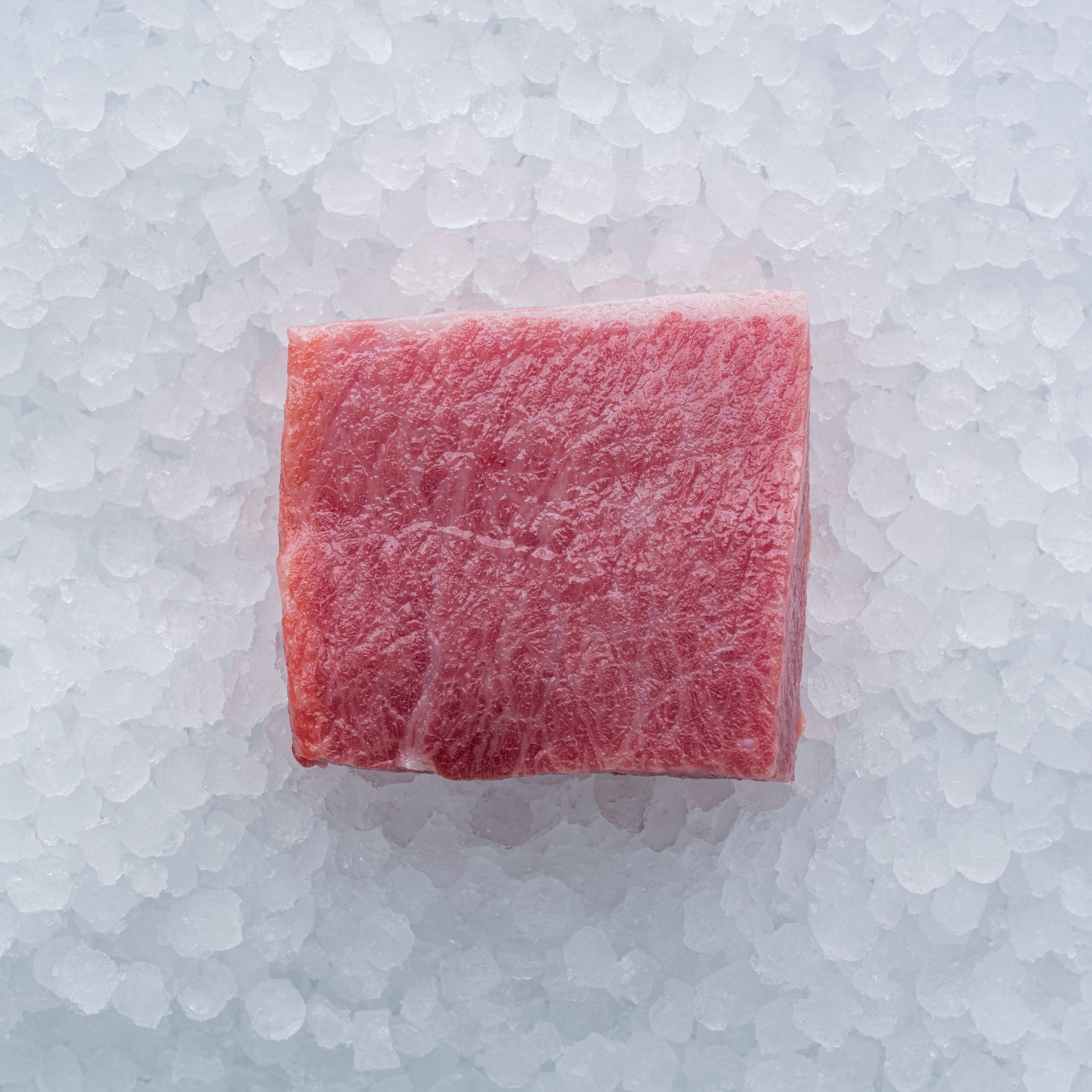 Blue Fin Tuna Otoro (Fatty Belly) – The Sea, The Sea Online