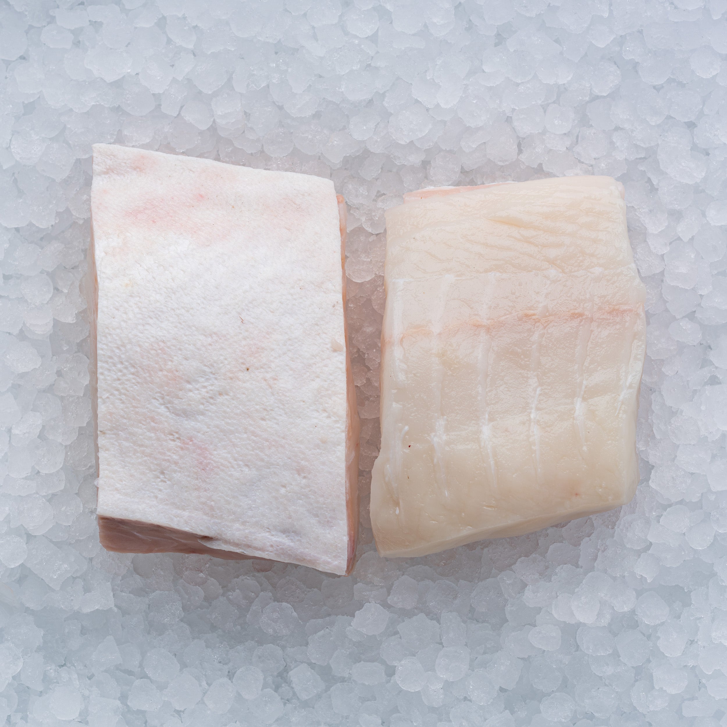 Halibut Fillet (Wild) – The Sea, The Sea Online