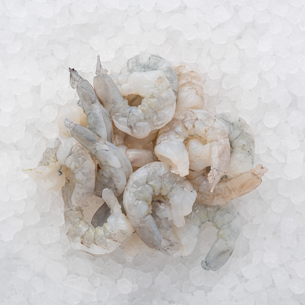 Peeled King Prawns – The Sea, The Sea Online