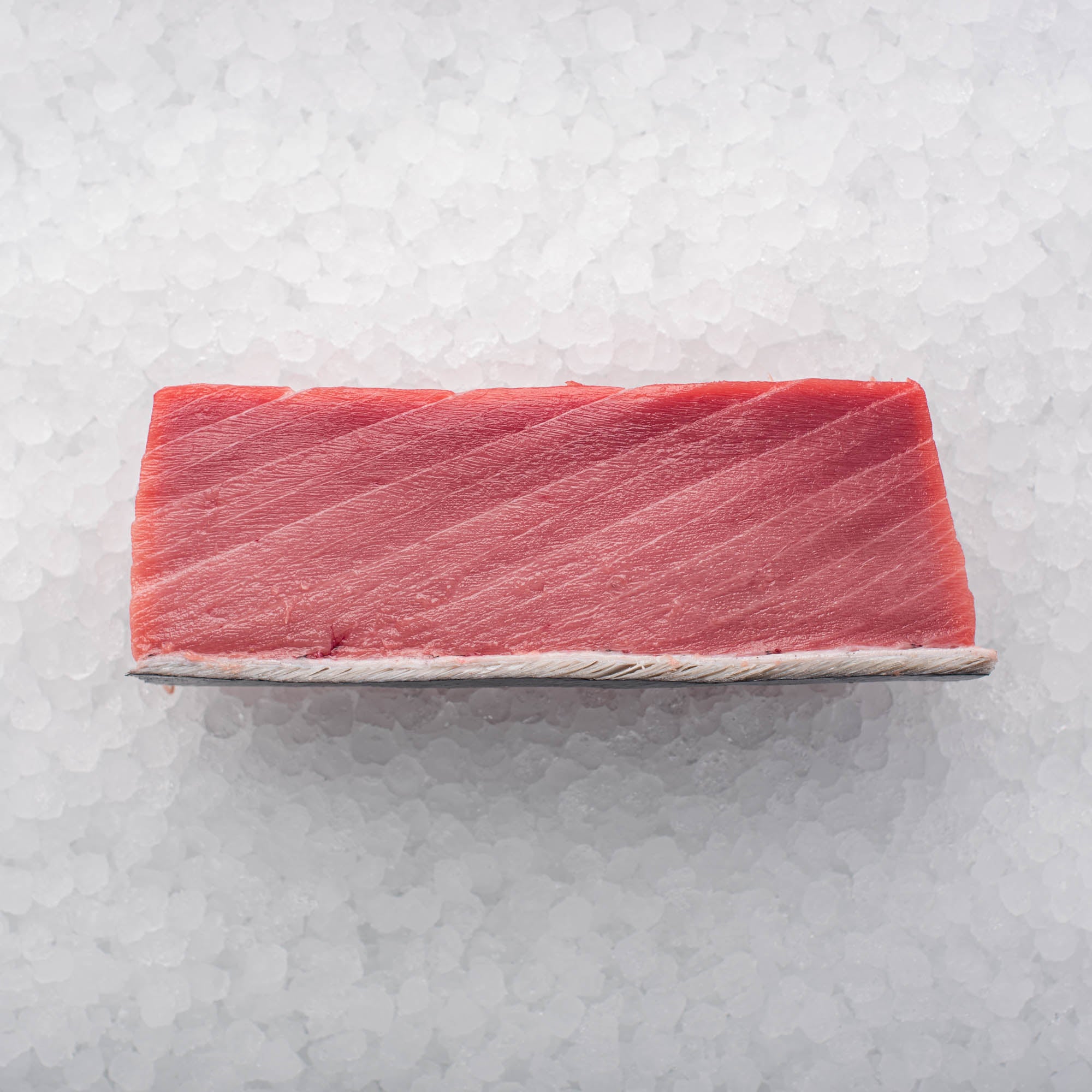 Blue Fin Tuna Chutoro – The Sea, The Sea Online