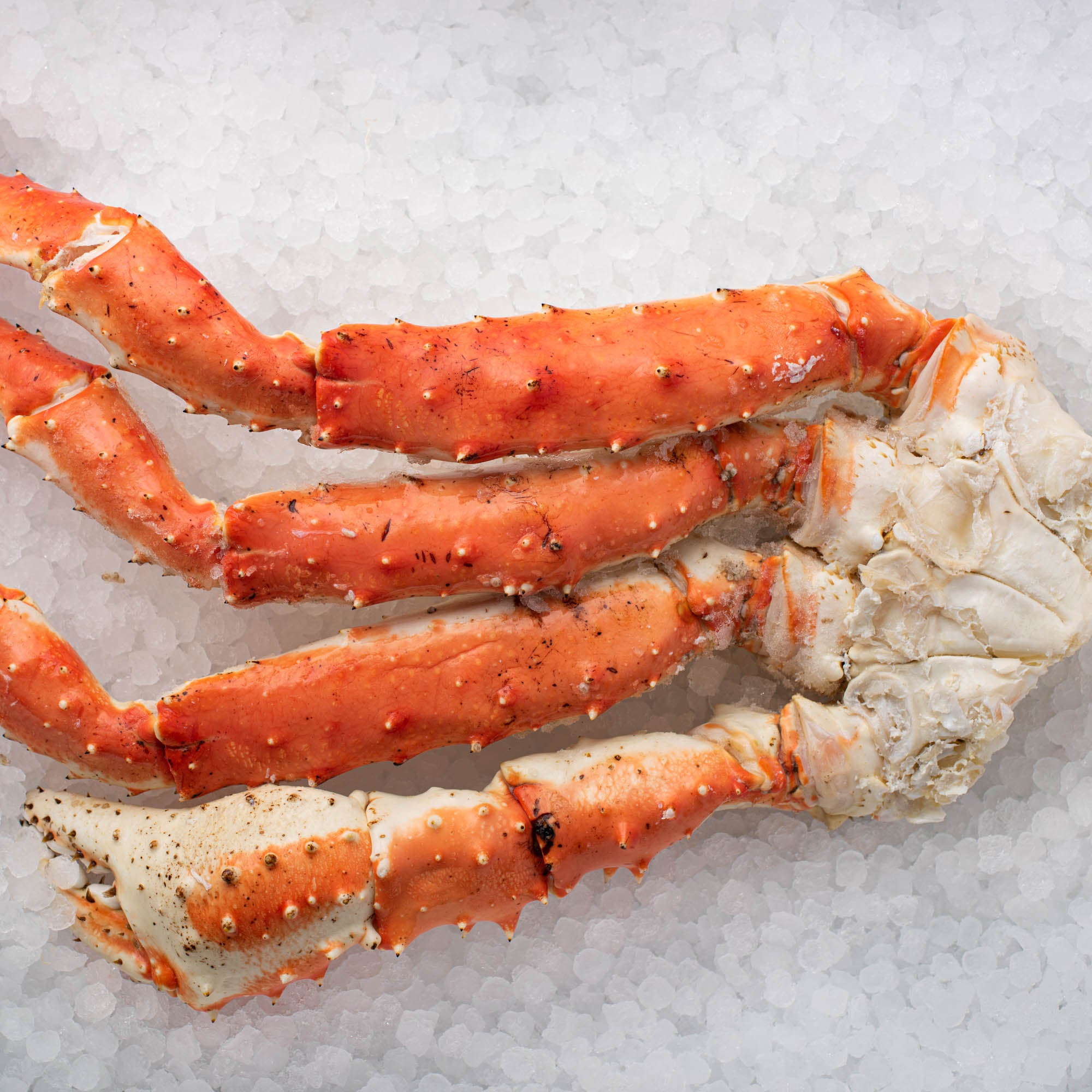 Cooked King Crab Leg – The Sea, The Sea Online