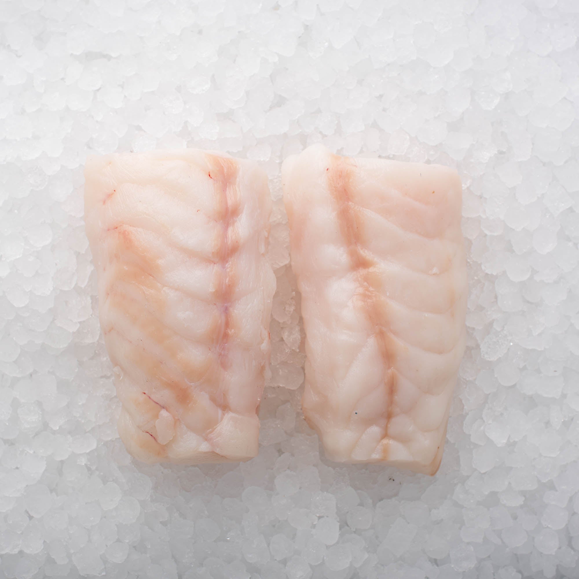 Monkfish Fillet – The Sea, The Sea Online