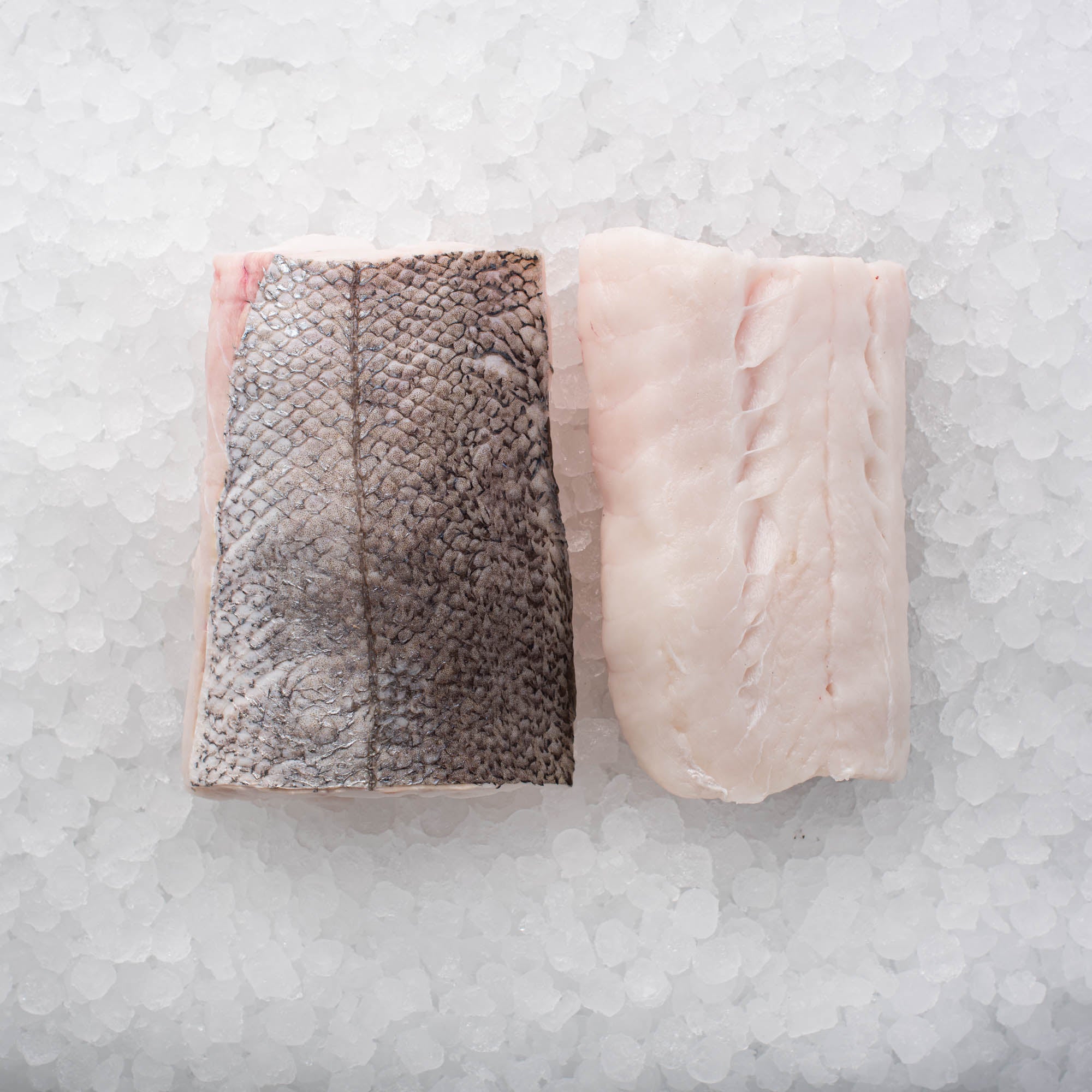 Hake Fillet – The Sea, The Sea Online